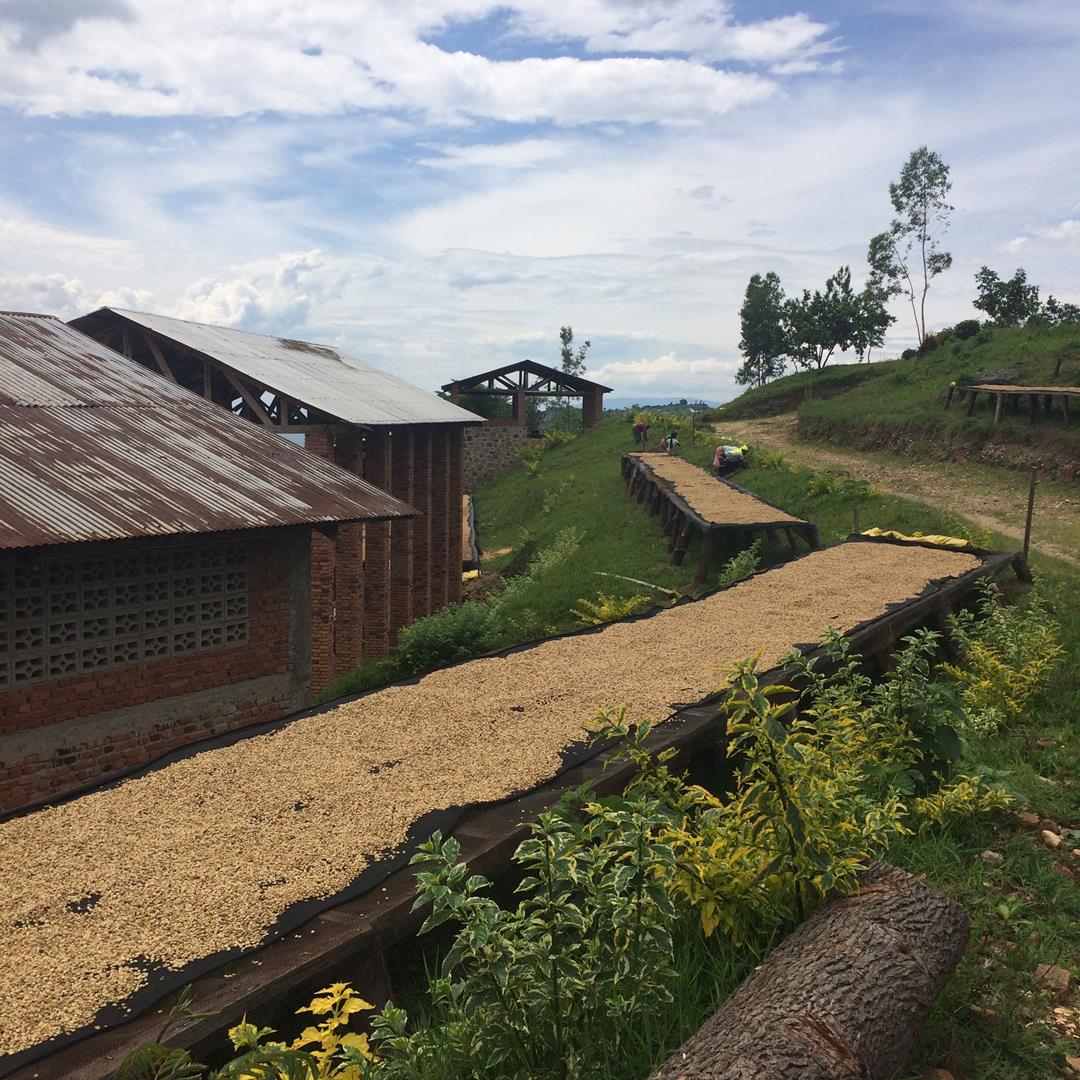 RWANDA I KONGO 2016r. - Cafe Creator - Cafe Mon Amour